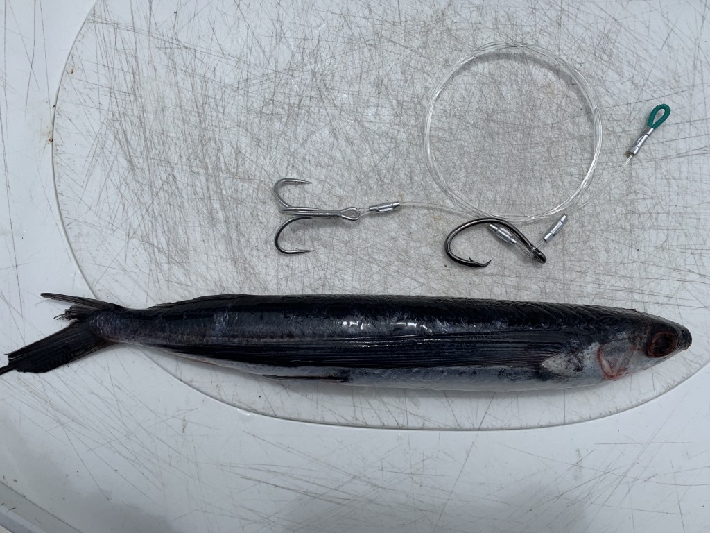 Custom Rig for Dead Flying Fish! - Billykfishing Catch More Fish