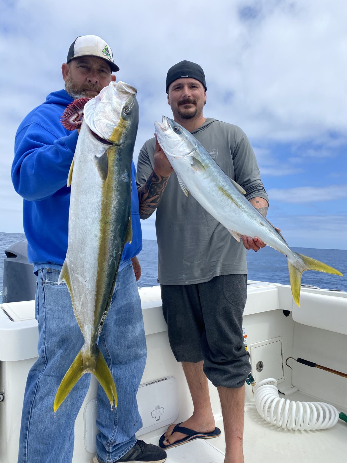 Big bluefin close! With limits of Yellowtail again ! - Billykfishing ...