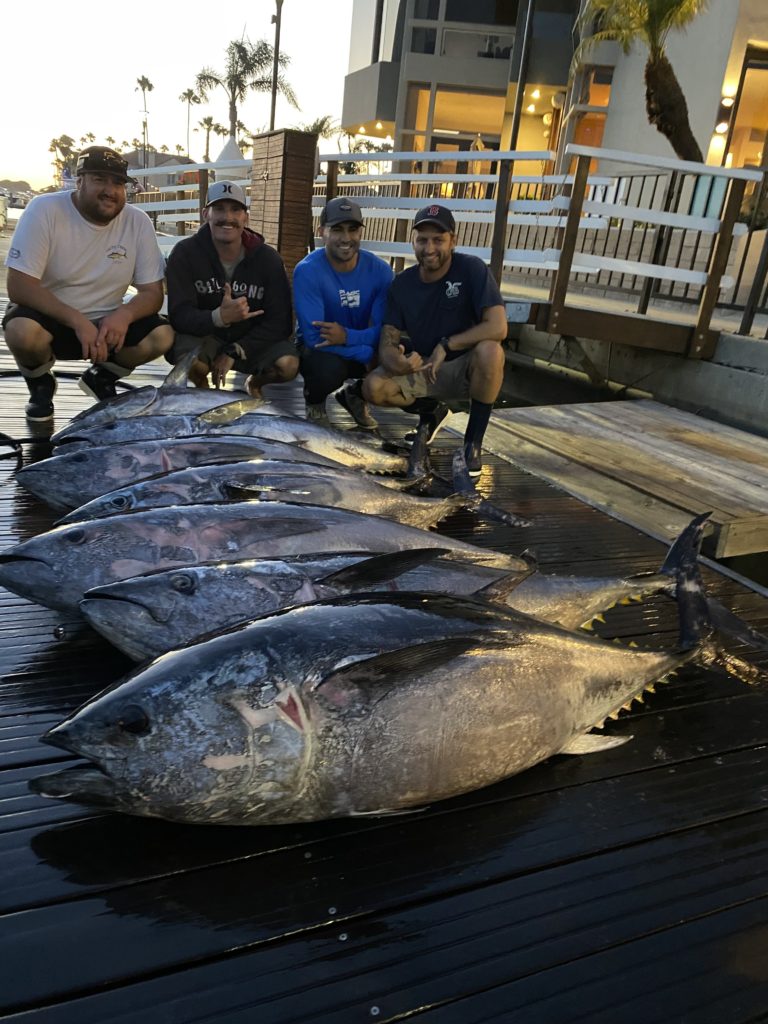 Epic Trip. 7 Big Fish! - Billykfishing Catch More Fish