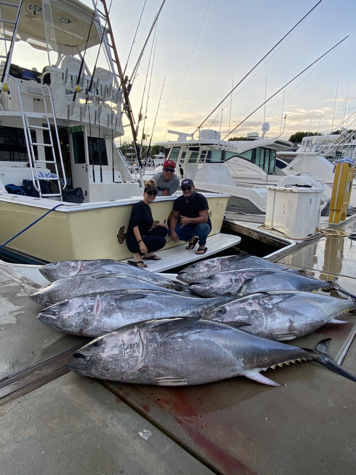 Insane Bites of All big fish!! - Billykfishing Catch More Fish