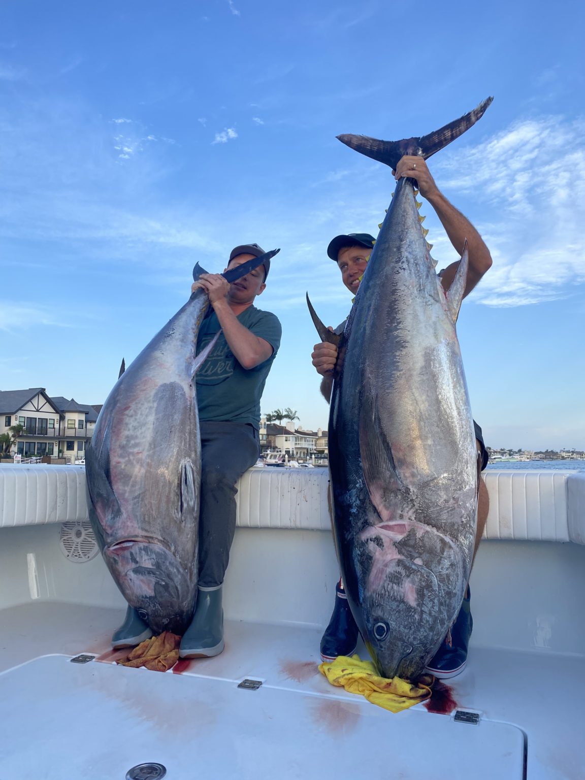 Big Bluefin are Filtering into this new zone! - Billykfishing Catch ...