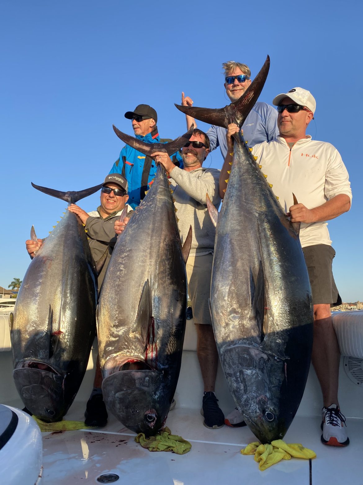 Large , large , and extra large - Billykfishing Catch More Fish