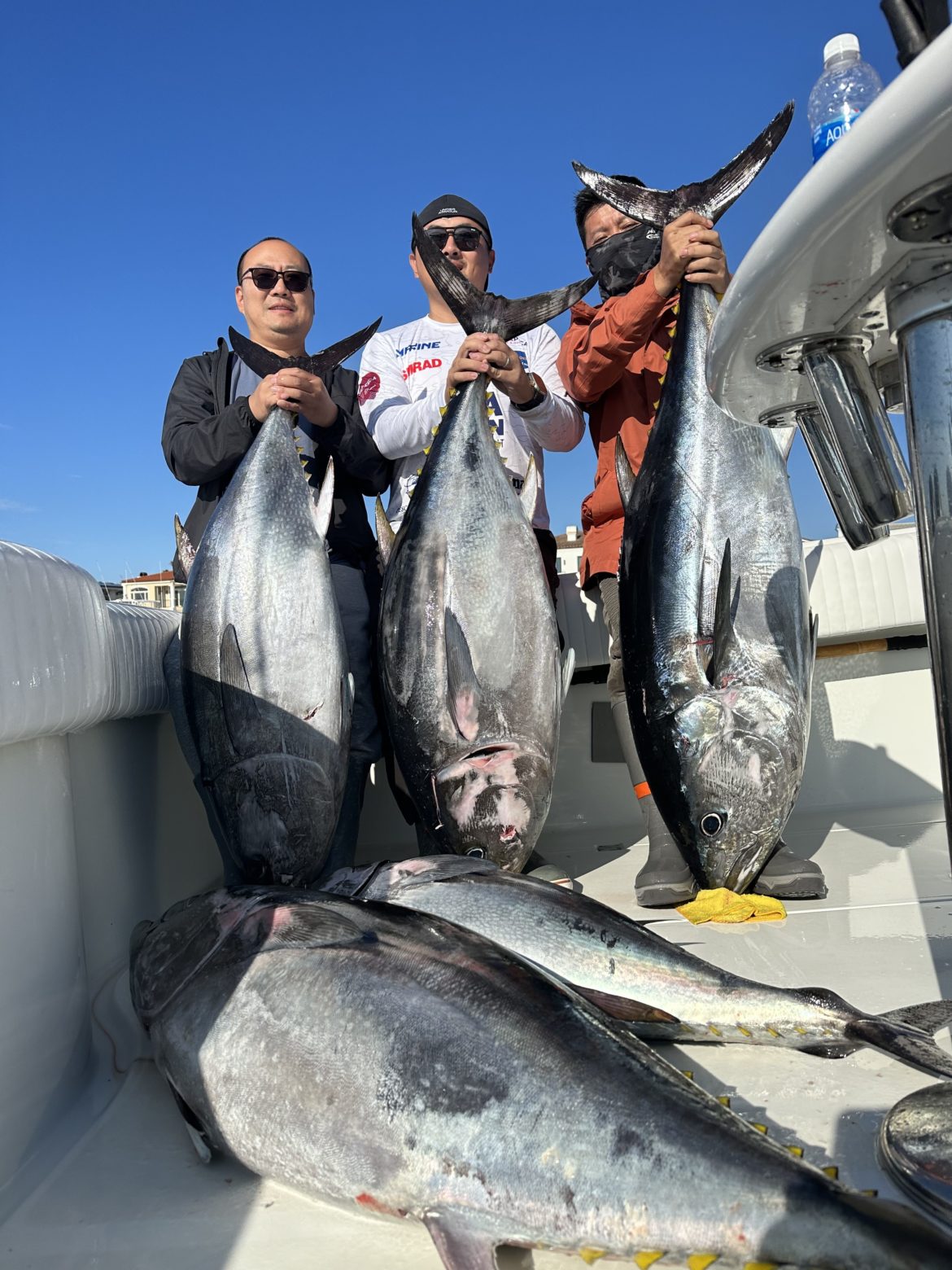 And the streak continues !!!! - Billykfishing Catch More Fish