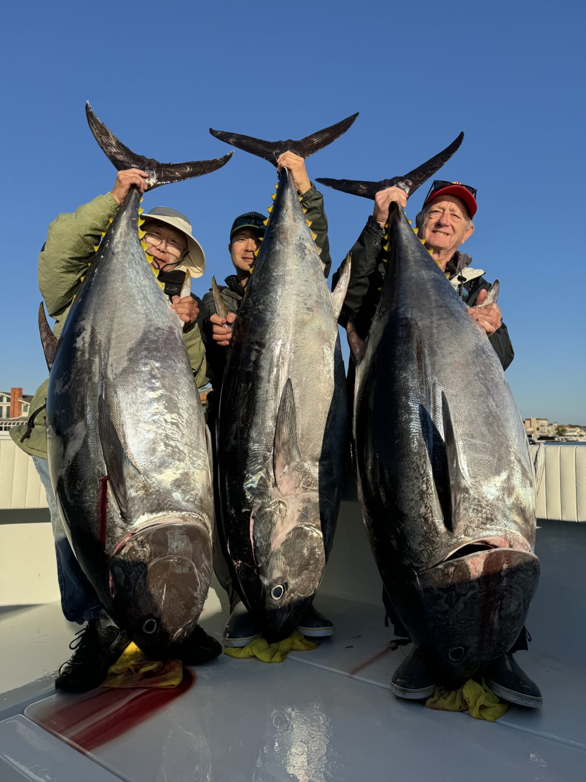 New zone! All Big Fish!! - Billykfishing Catch More Fish